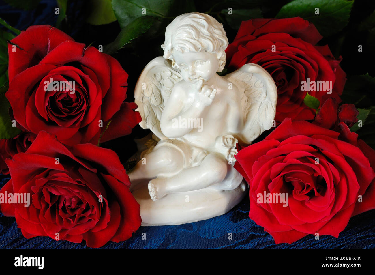 Decorational plants hi-res stock photography and images - Alamy