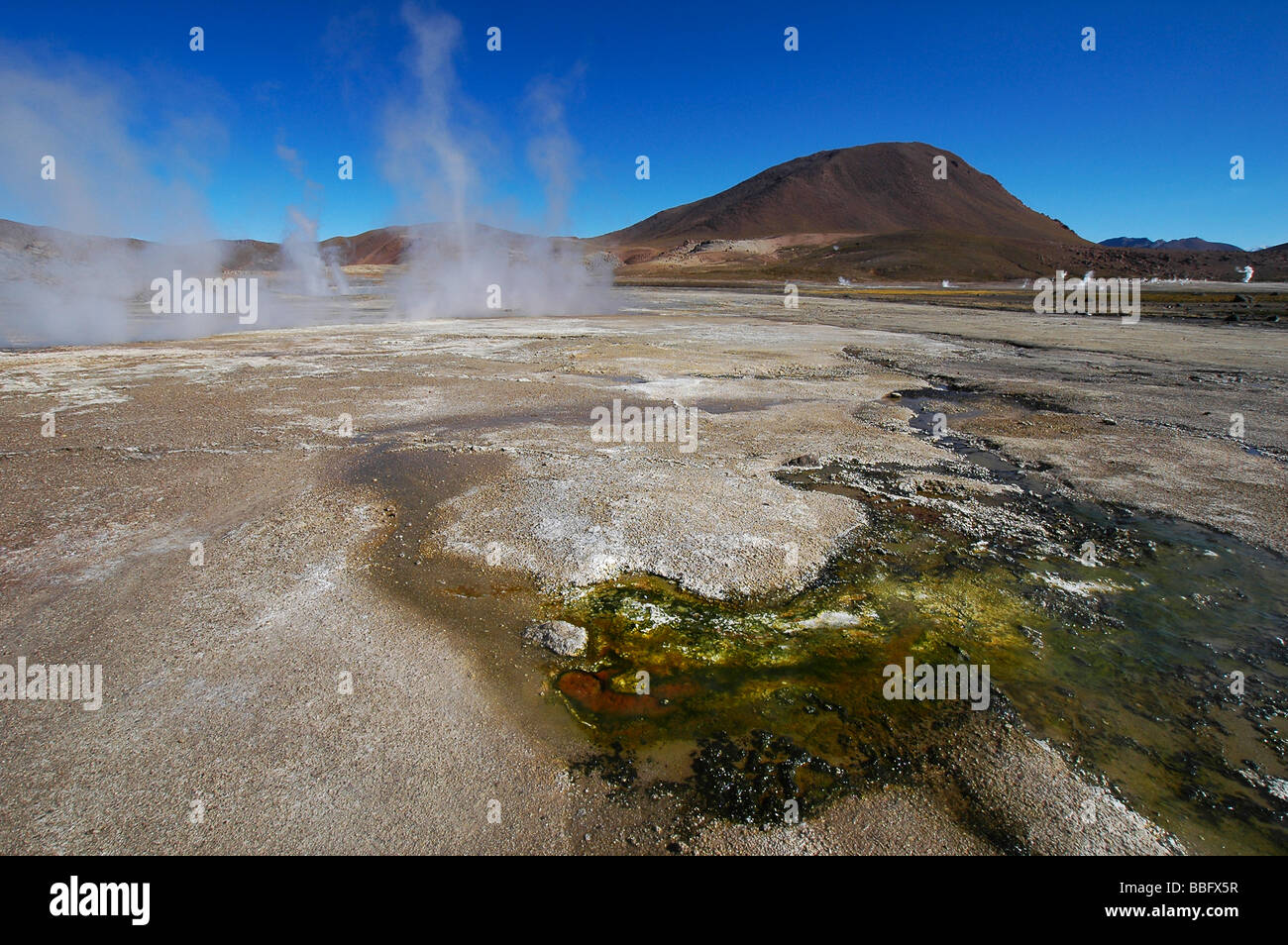 Geyser in Tatio, Chile Stock Photo - Alamy