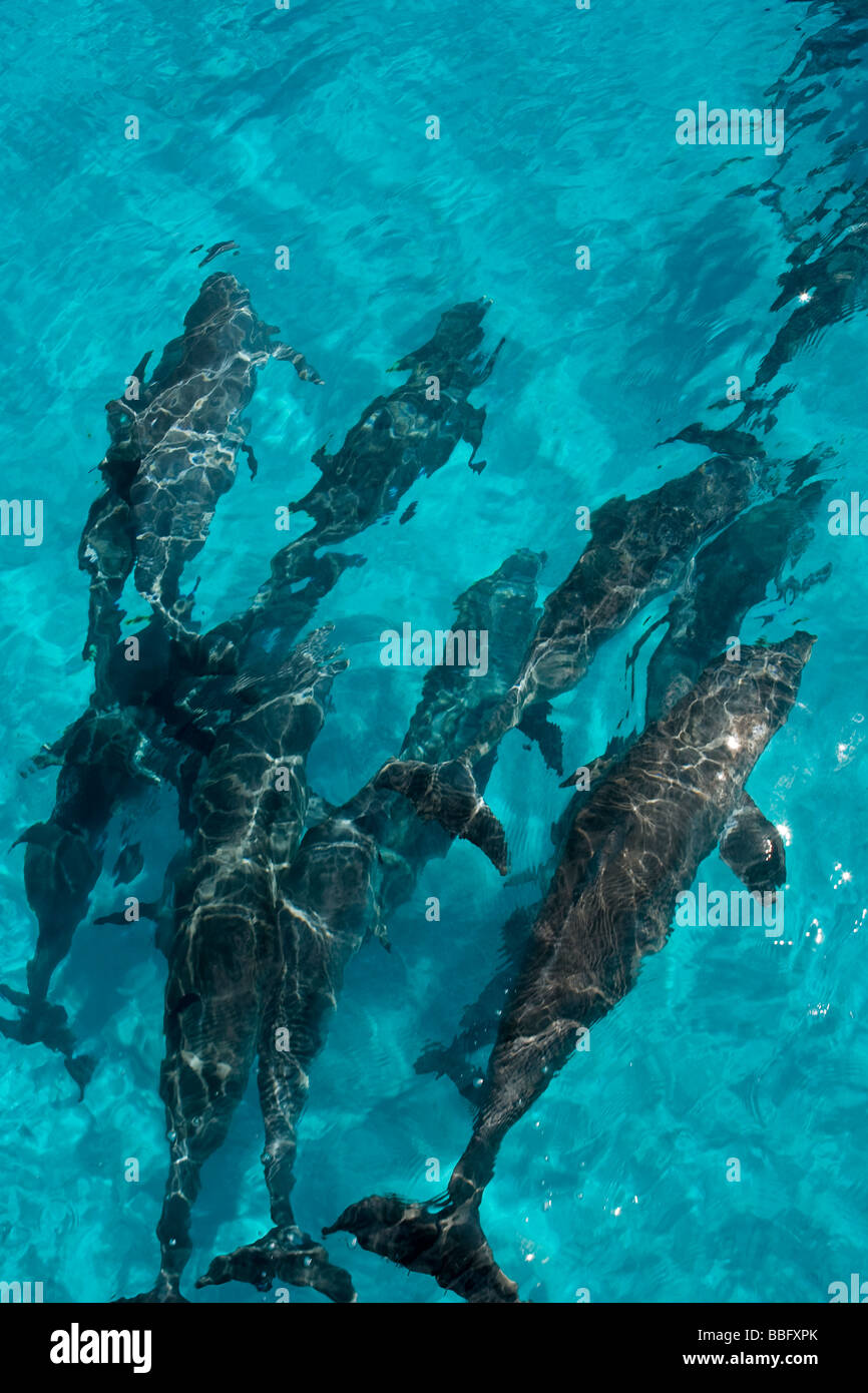 Under surface view hi-res stock photography and images - Alamy