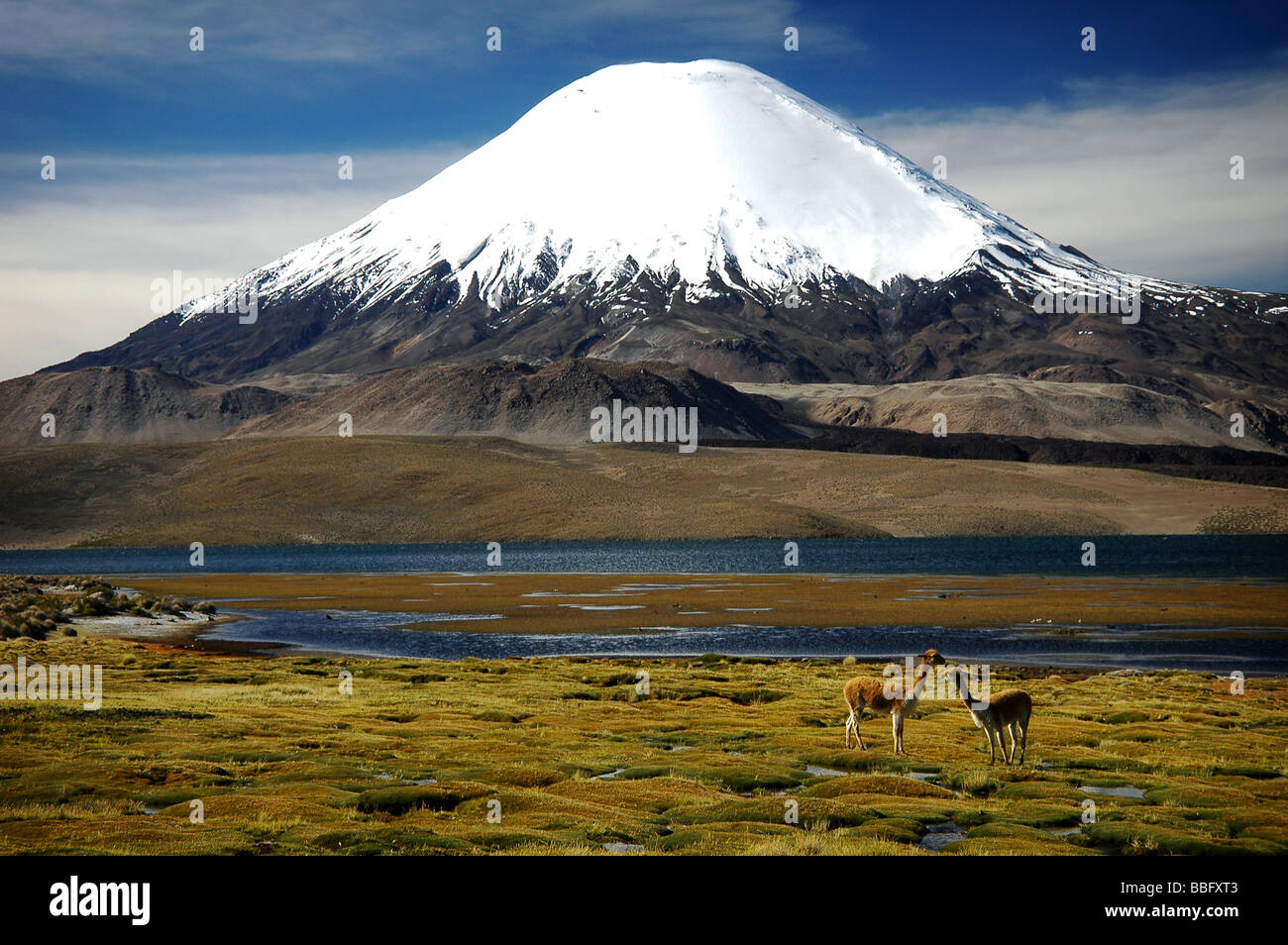 Lago Chungara, Chile Stock Photo - Alamy