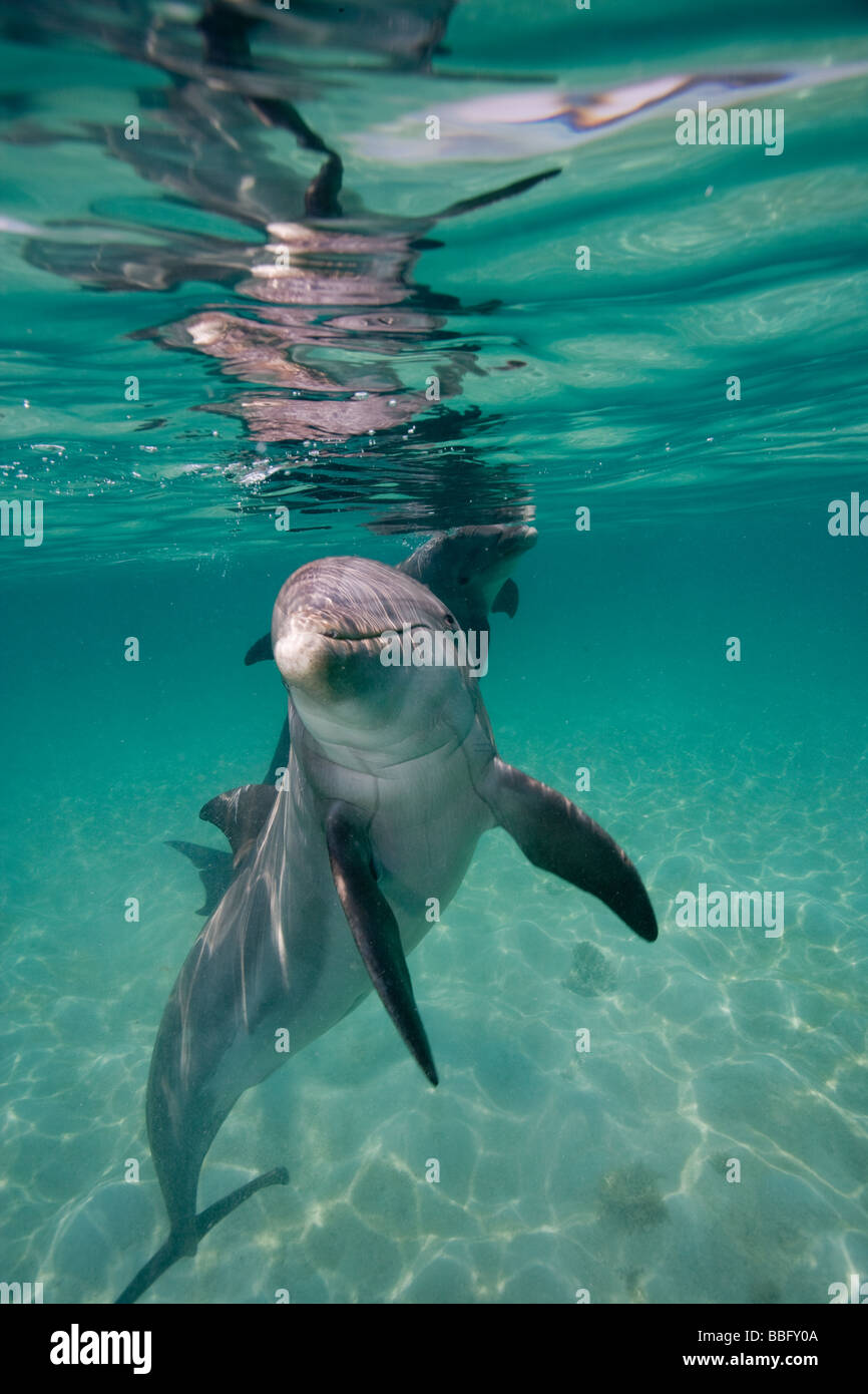 Underwater dancing hi-res stock photography and images - Alamy
