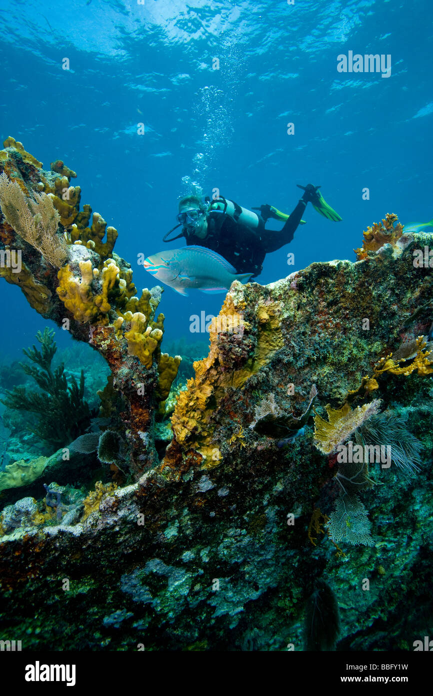 Rth atlantic ocean hi-res stock photography and images - Alamy