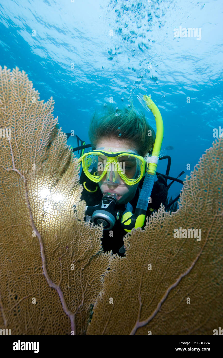 Child diver diving scuba hi-res stock photography and images - Alamy