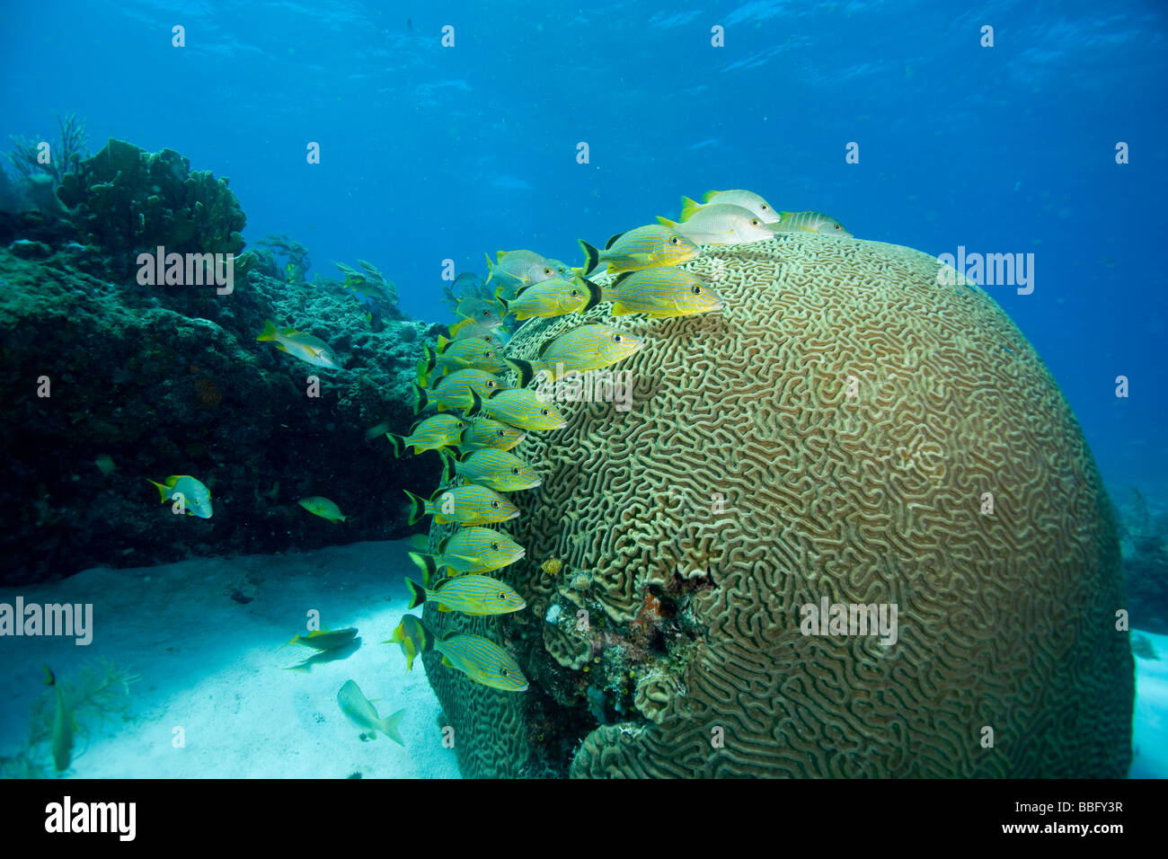 Huddled circle hi-res stock photography and images - Alamy