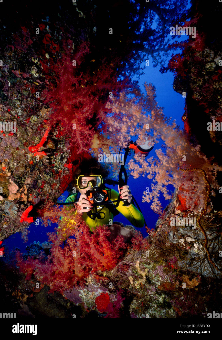 Female scuba diver underwater camera hi-res stock photography and ...