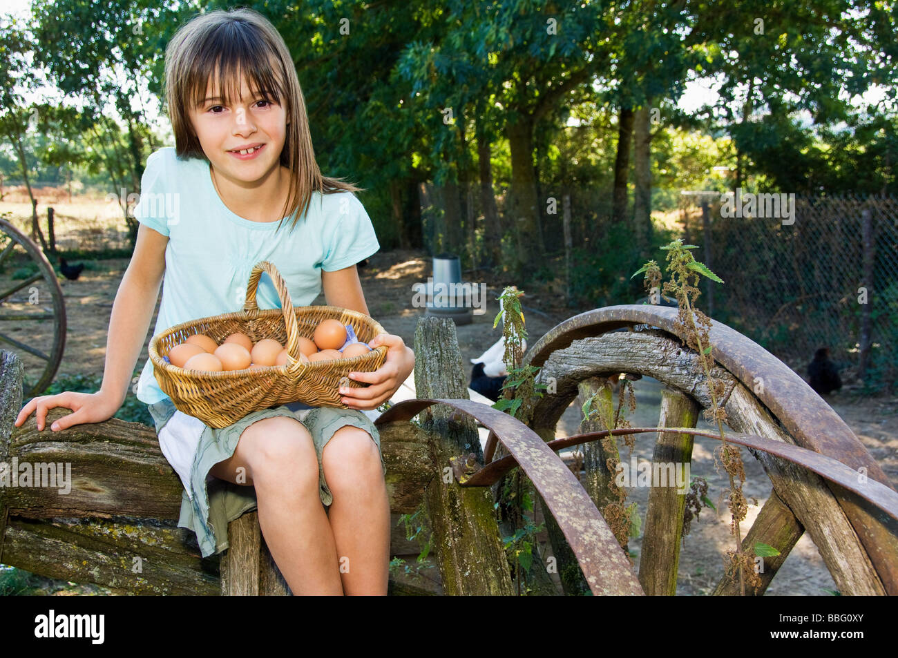 9 eggs hi-res stock photography and images - Alamy