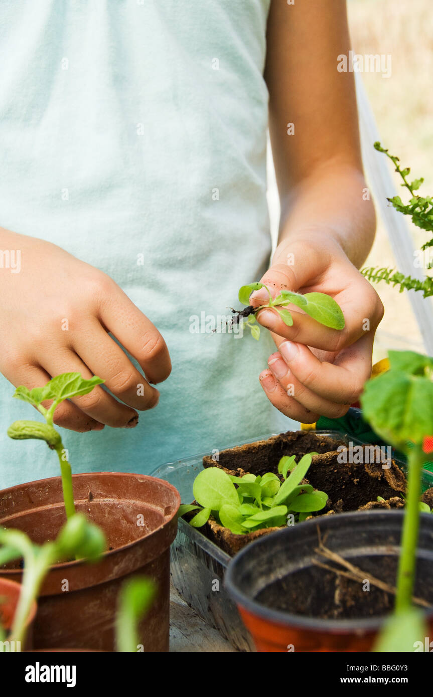 Child planting sapling hi-res stock photography and images - Alamy