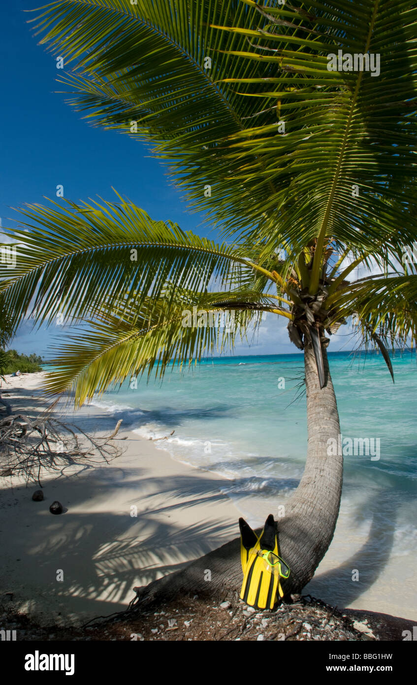 Ocean view from tropical beach hi-res stock photography and images - Alamy