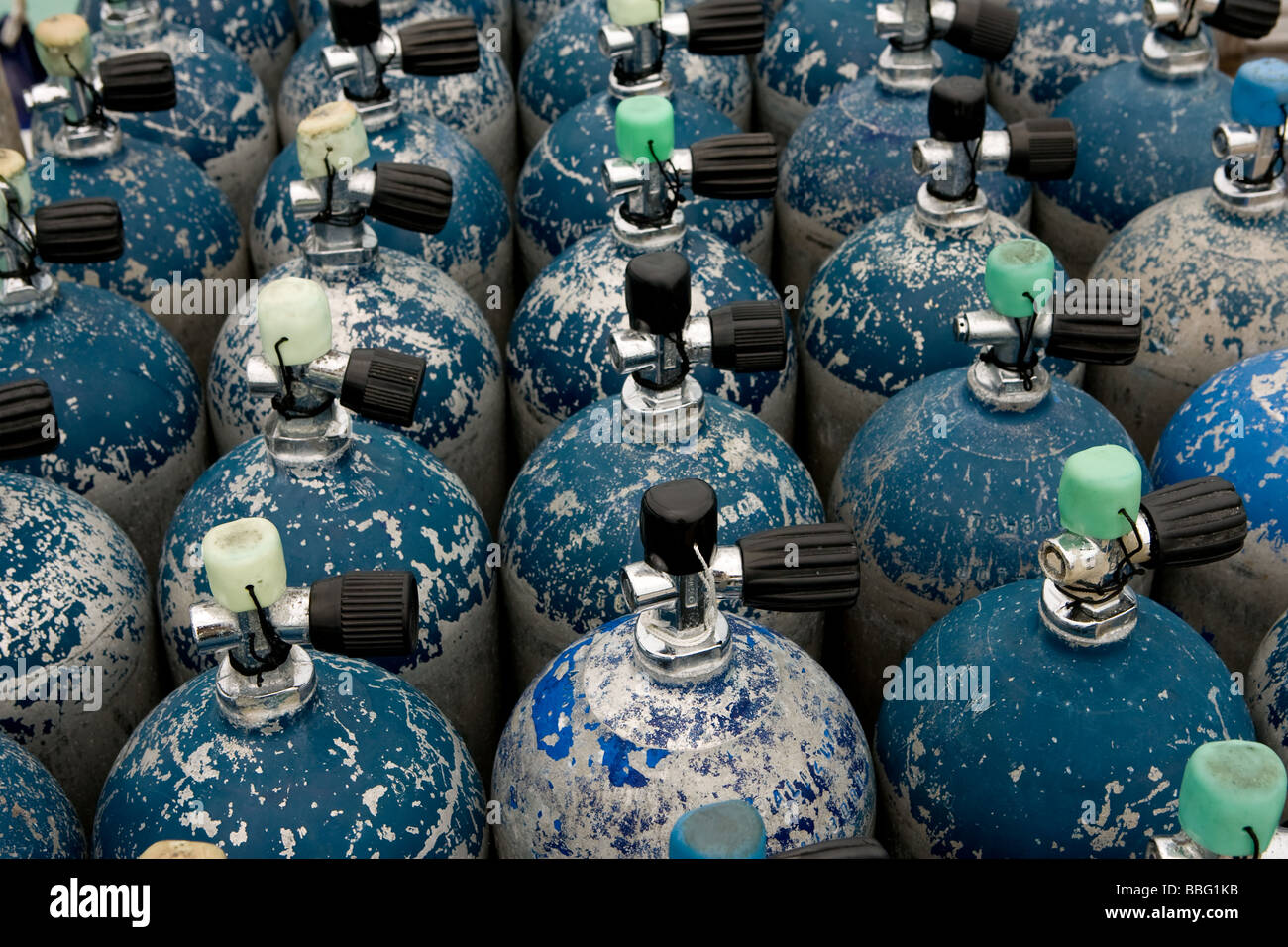 Scuba tanks at dive shop Stock Photo - Alamy