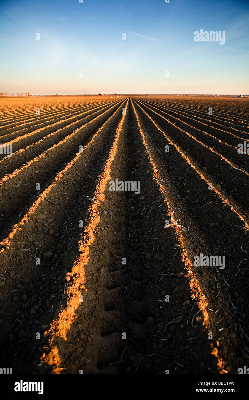 Cultivation Ridges High Resolution Stock Photography and Images - Alamy