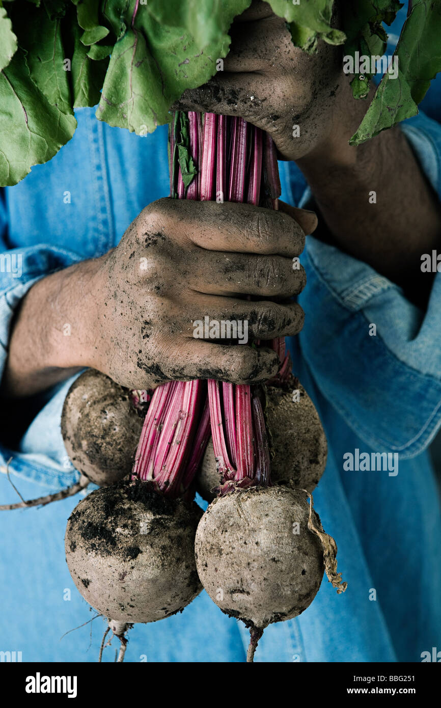 Rovenance hi-res stock photography and images - Alamy