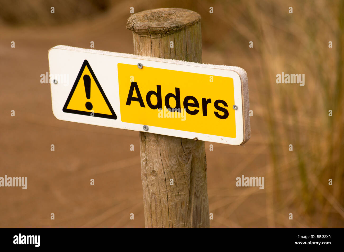 Adder warning sign hi-res stock photography and images - Alamy