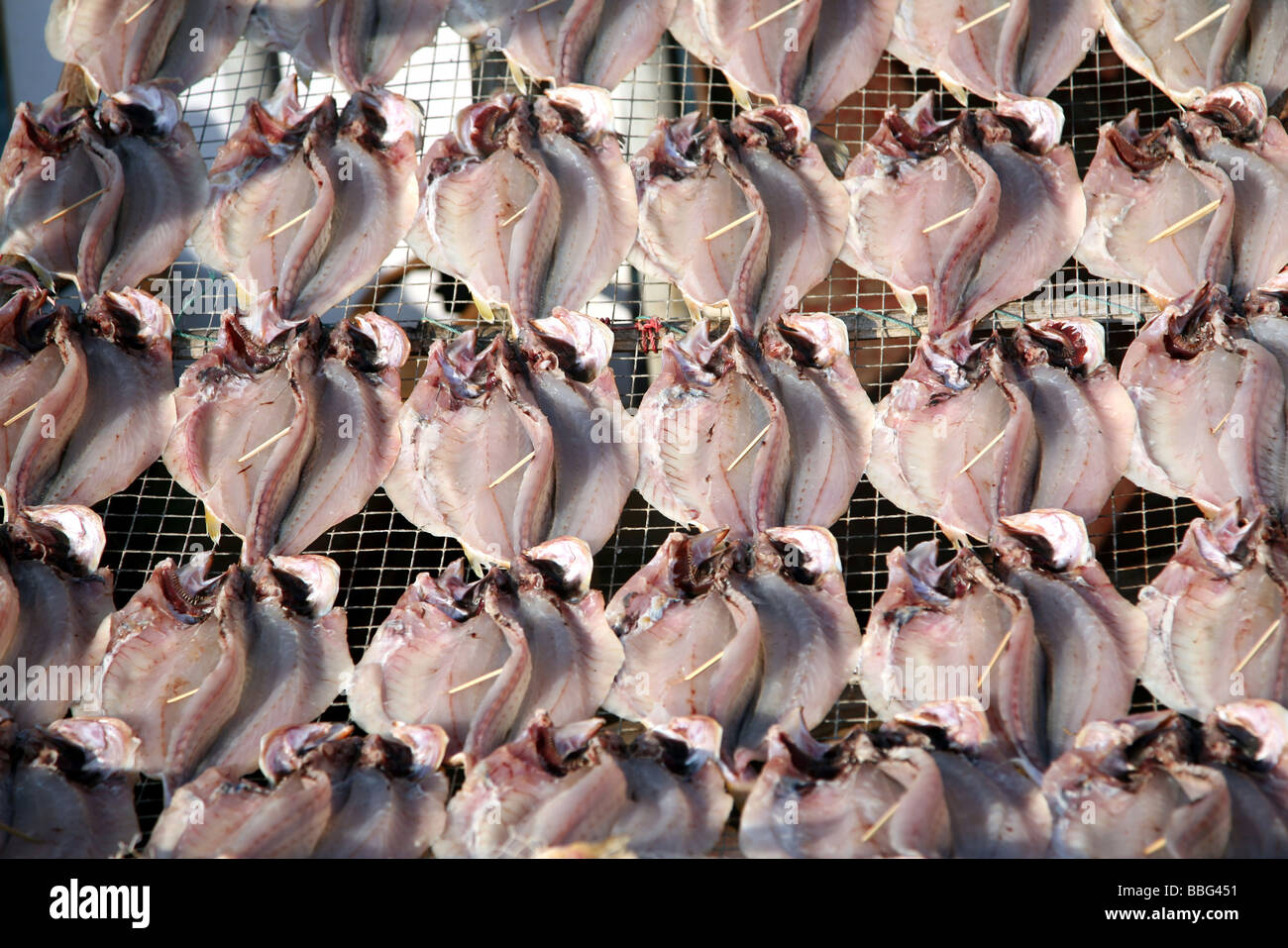 Salt Drying Fish, Cheung Chau Island Stock Photo - Alamy