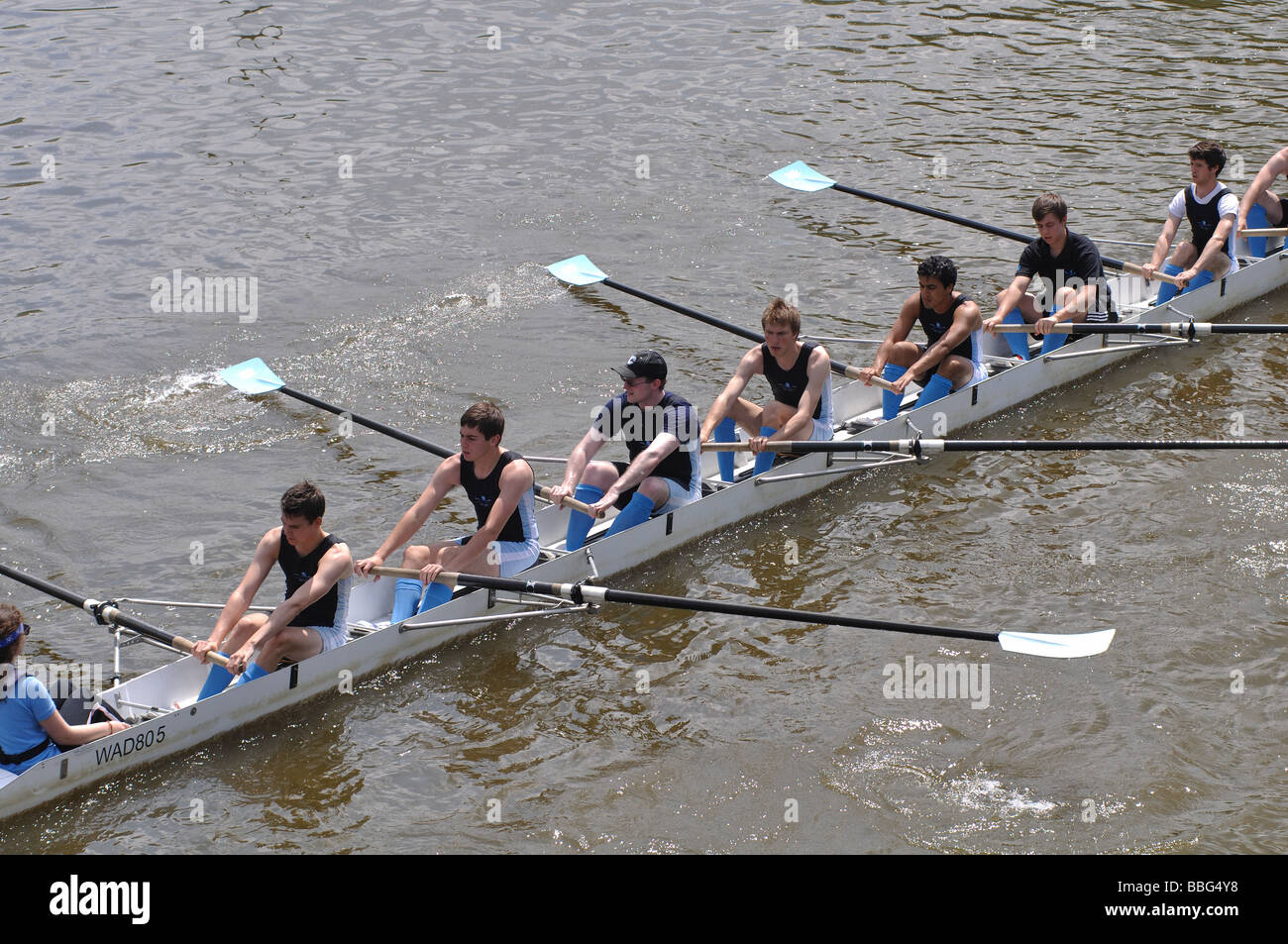 Rowing at Oxford Summer Eights Stock Photo - Alamy