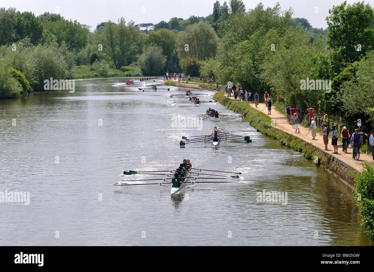 Rowing at Oxford University Summer Eights Stock Photo - Alamy