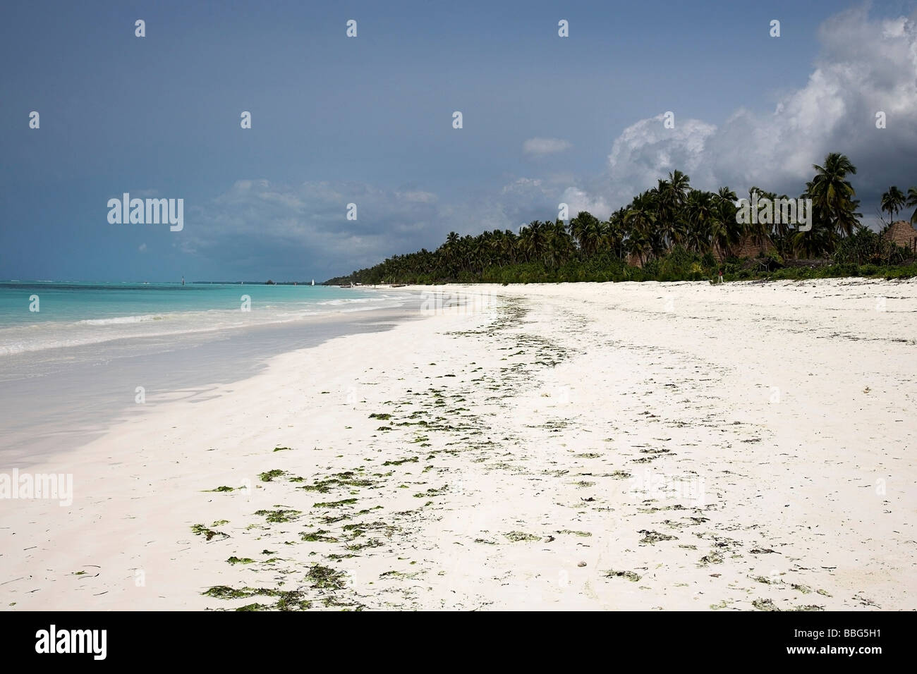 Indian Ocean, Zanzibar, Tanzania; Tropical beach Stock Photo - Alamy