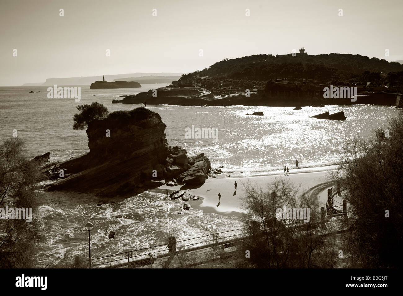 Camel beach hi-res stock photography and images - Alamy