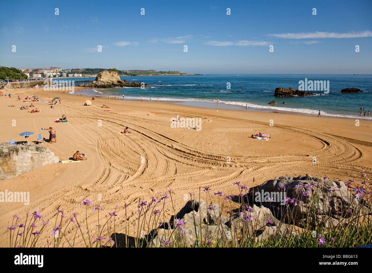 Beaches camel hi-res stock photography and images - Alamy