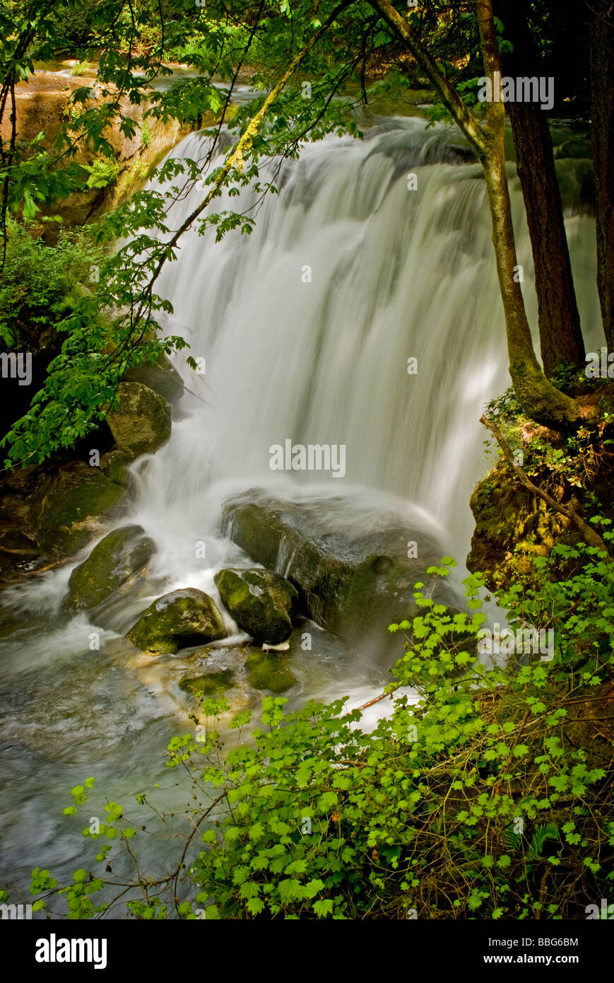 Whatcom creek in fall hi-res stock photography and images - Alamy