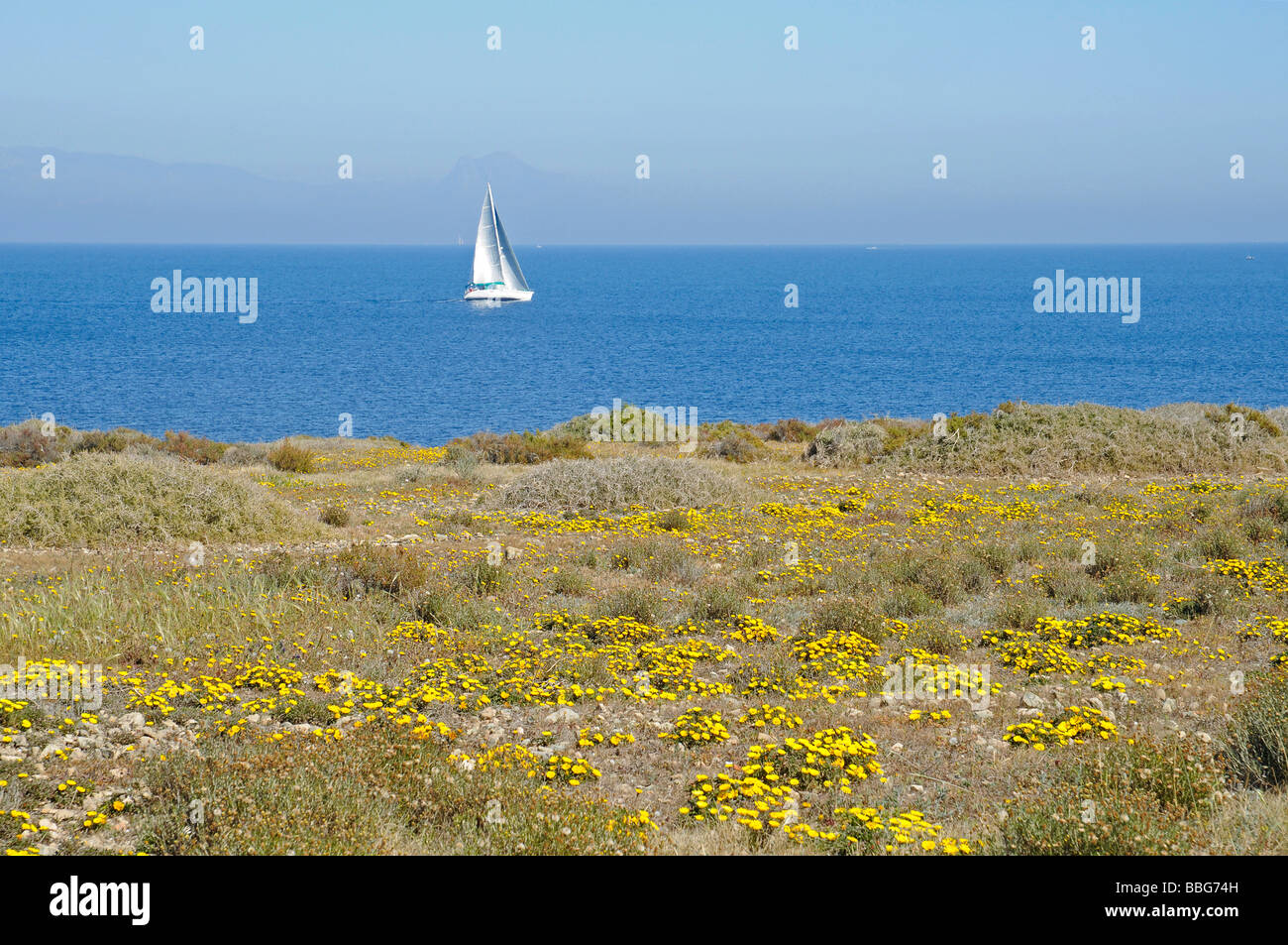 Single sail boat, coast, sea, Tabarca, Isla de Tabarca, Alicante, Costa ...
