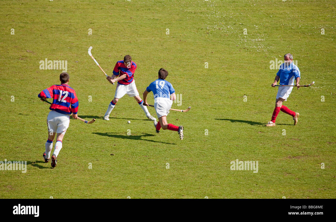 Shinty game hi-res stock photography and images - Alamy
