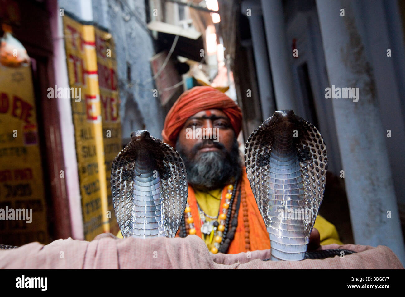 Snake Handler with Two Cobras in Varanasi India Stock Photo - Alamy