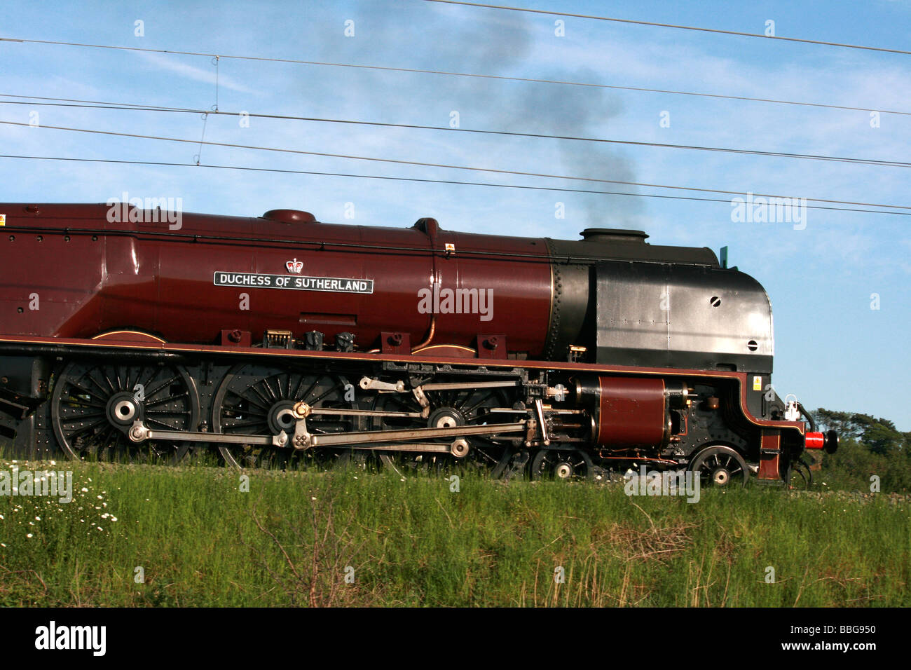 Duchess of Sutherland steam locomotive on West Coast main line Stock ...