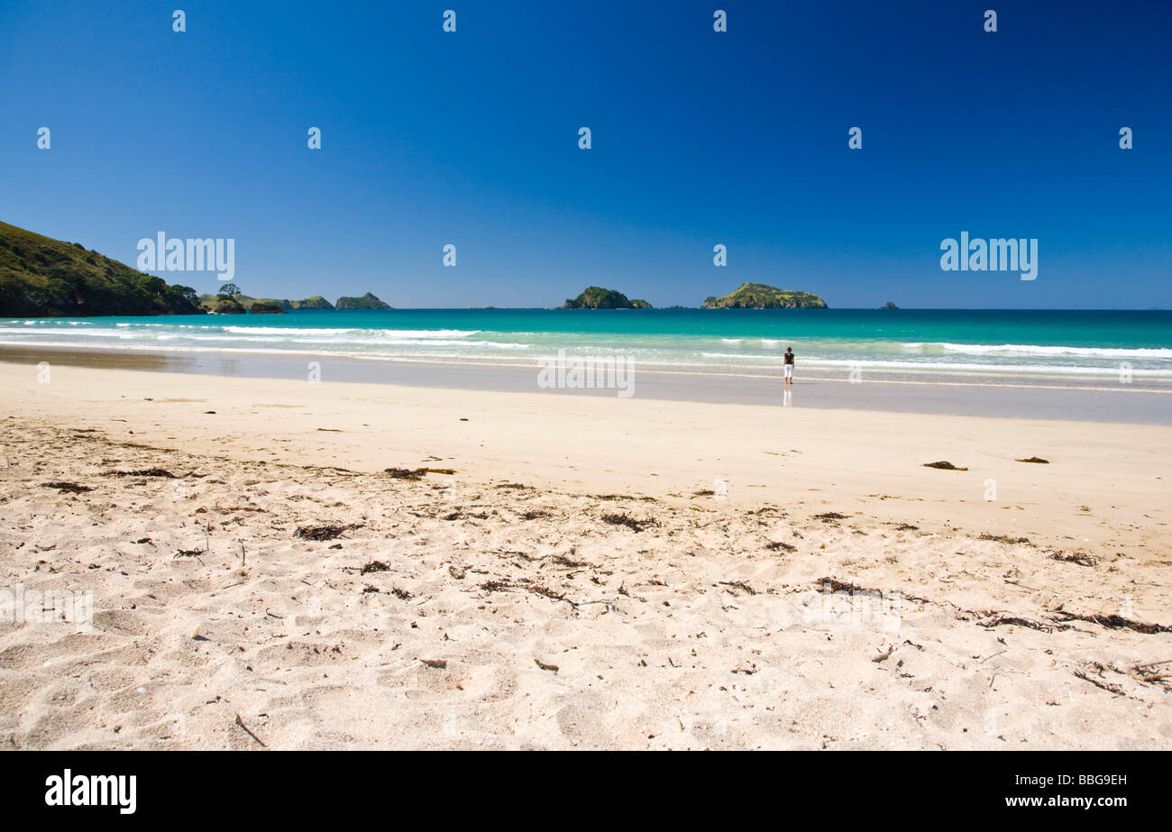 Matauri Bay Whangaroa Region Northland North Island New Zealand Stock ...
