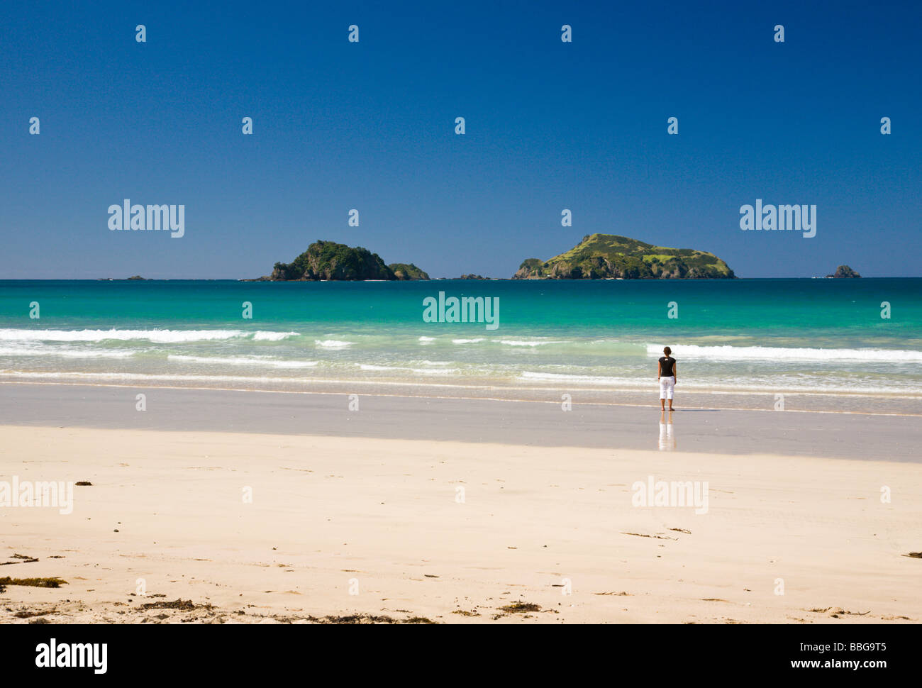 Matauri Bay Whangaroa Region Northland North Island New Zealand Stock ...