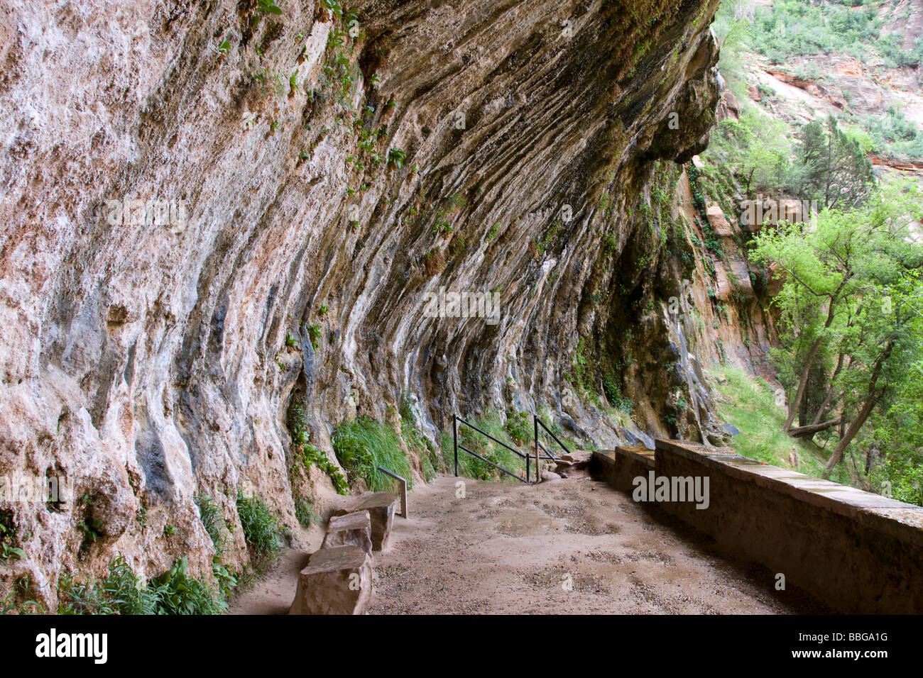 The weeping rock hi-res stock photography and images - Alamy