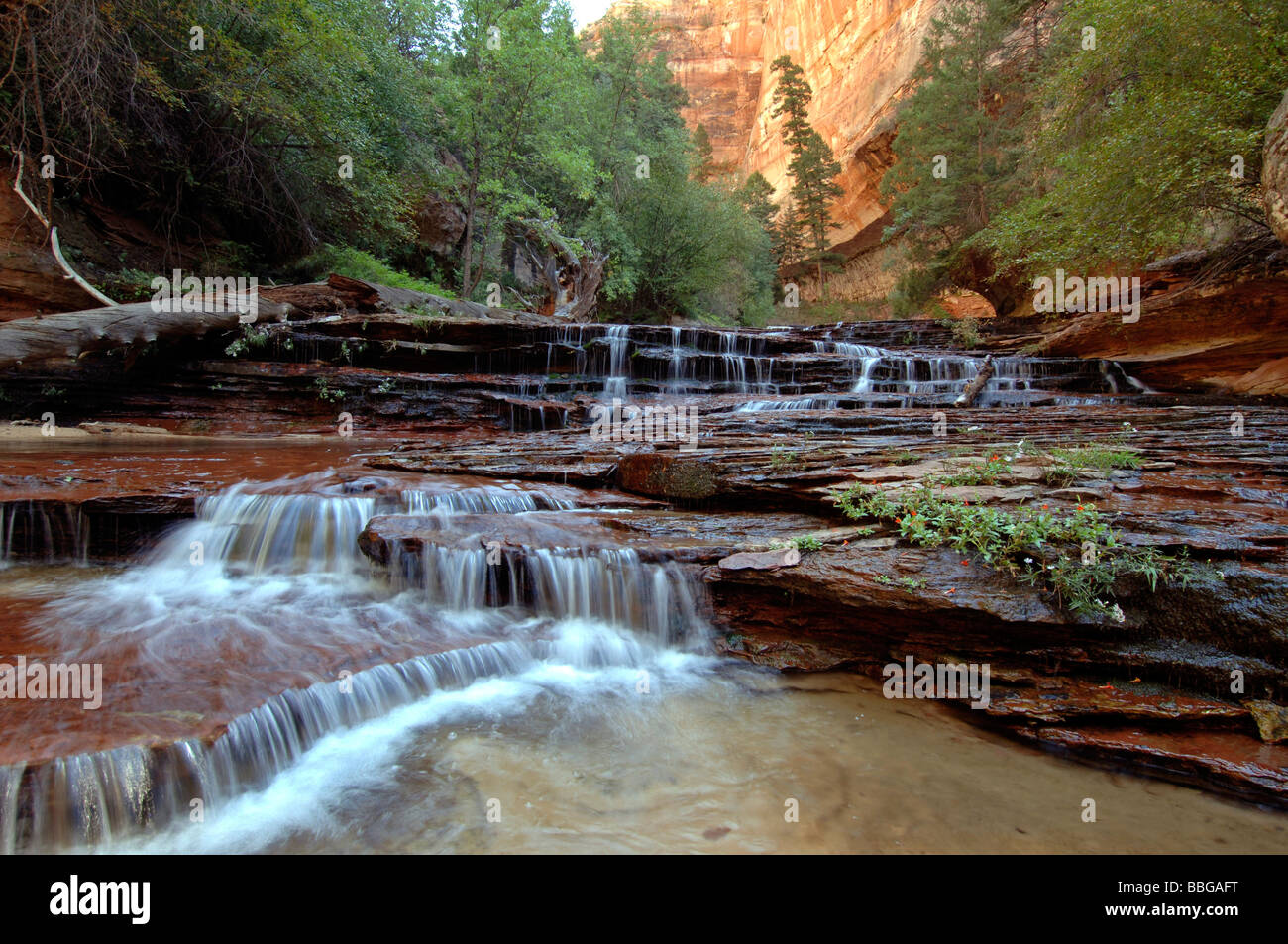 water cascade, USA, Utah, Zion National Park Stock Photo - Alamy