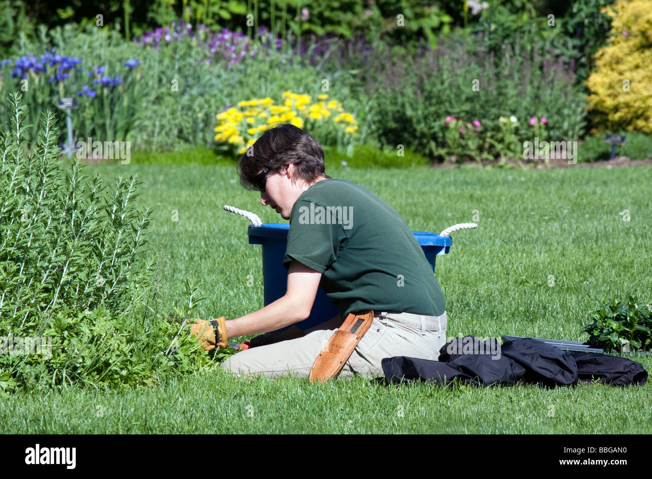 A woman gardener sitting next to a bed of flowers working in the garden ...