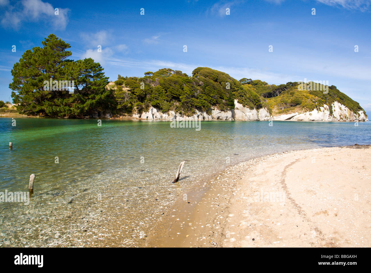 Property Golden Bay New Zealand at Kai Hartung blog