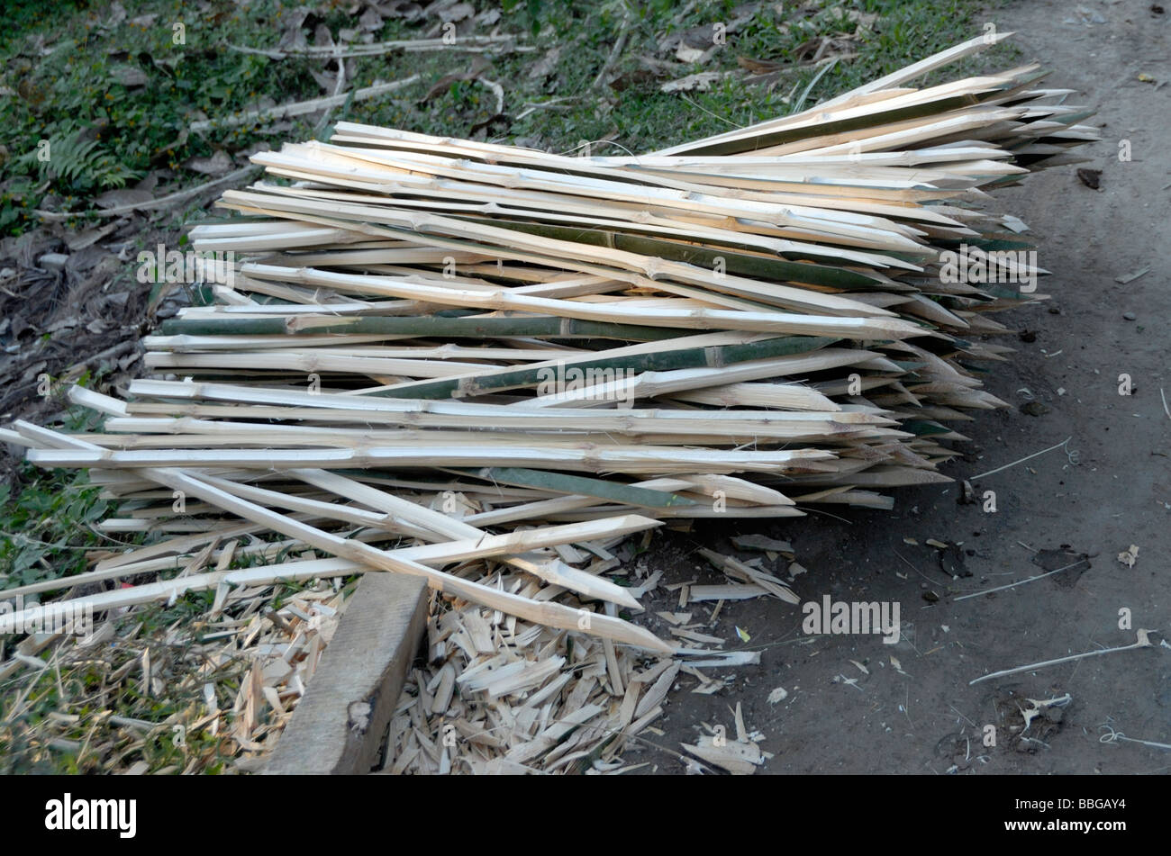A pile of fencing stakes made from split bamboo stems. Kaziranga ...