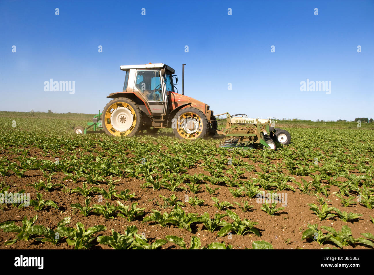 Hoe farming hi-res stock photography and images - Alamy