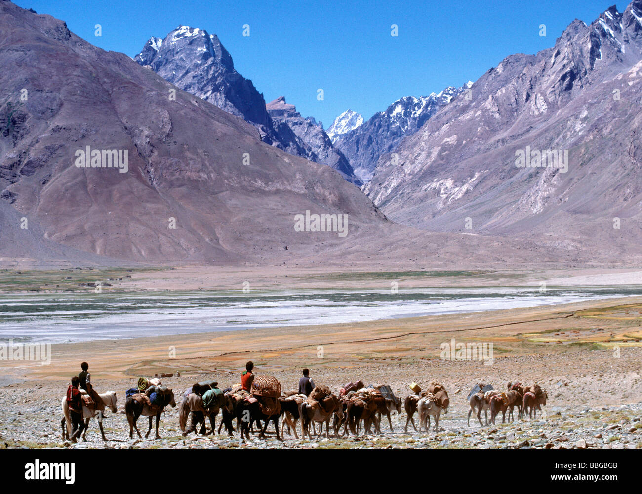Under the noonday sun a caravan leaves Padum in the Zanskar Valley ...