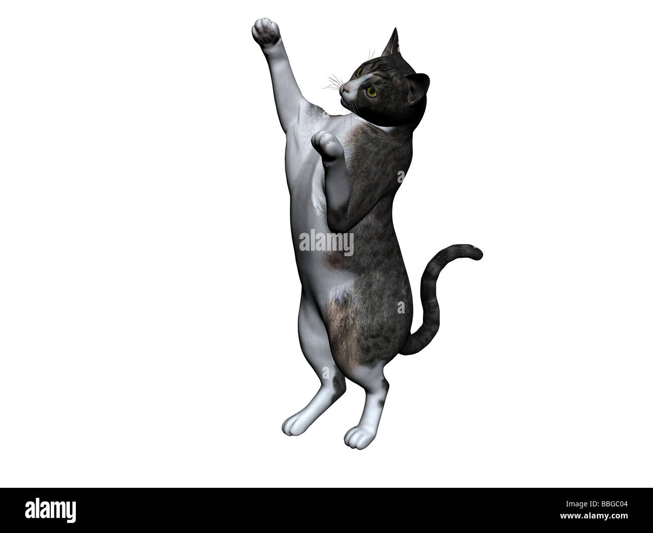 Cat rendered with Bryce 6 Stock Photo - Alamy