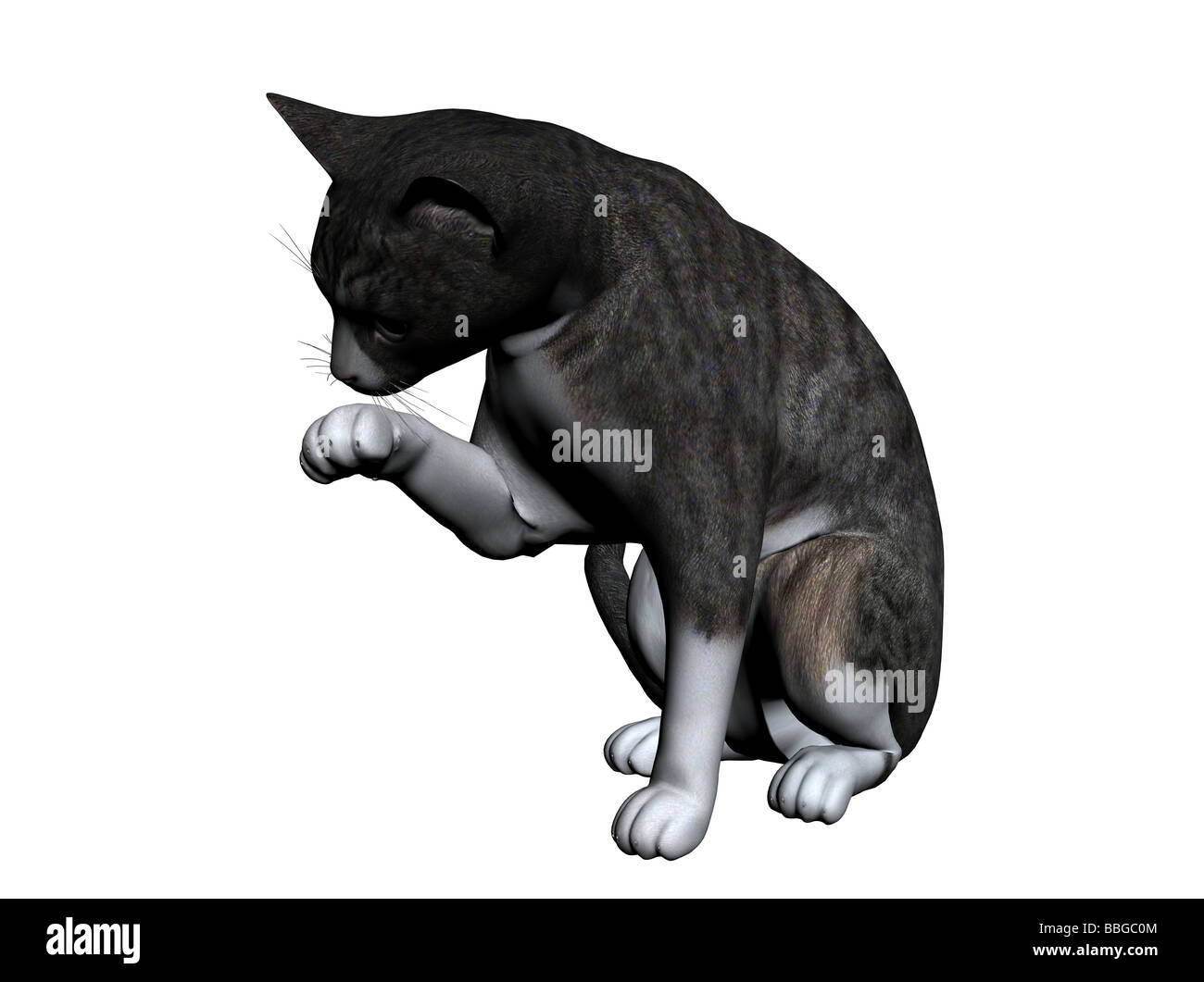 Cat rendered with Bryce 6 Stock Photo - Alamy