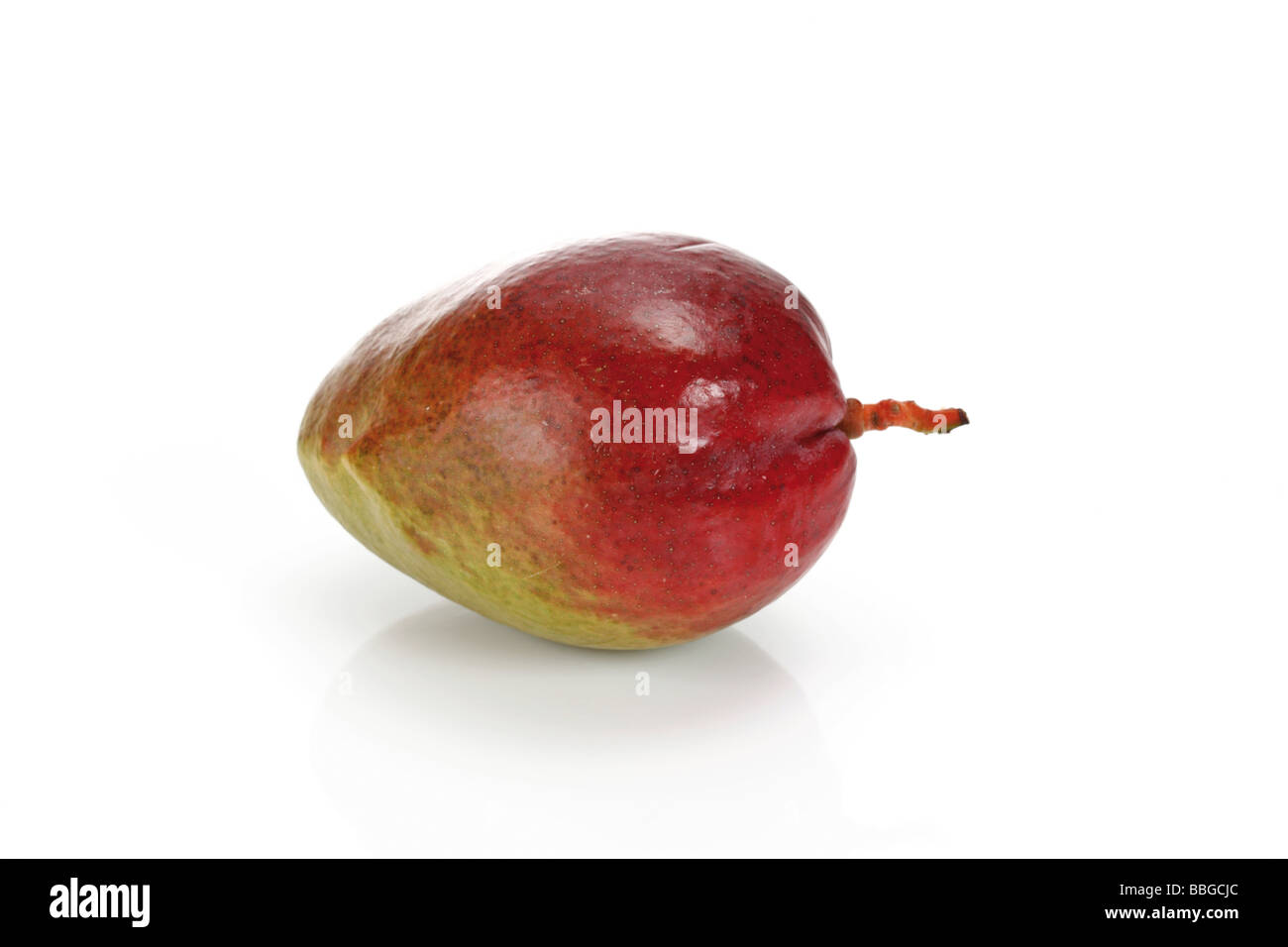 Inside mango Cut Out Stock Images & Pictures - Alamy