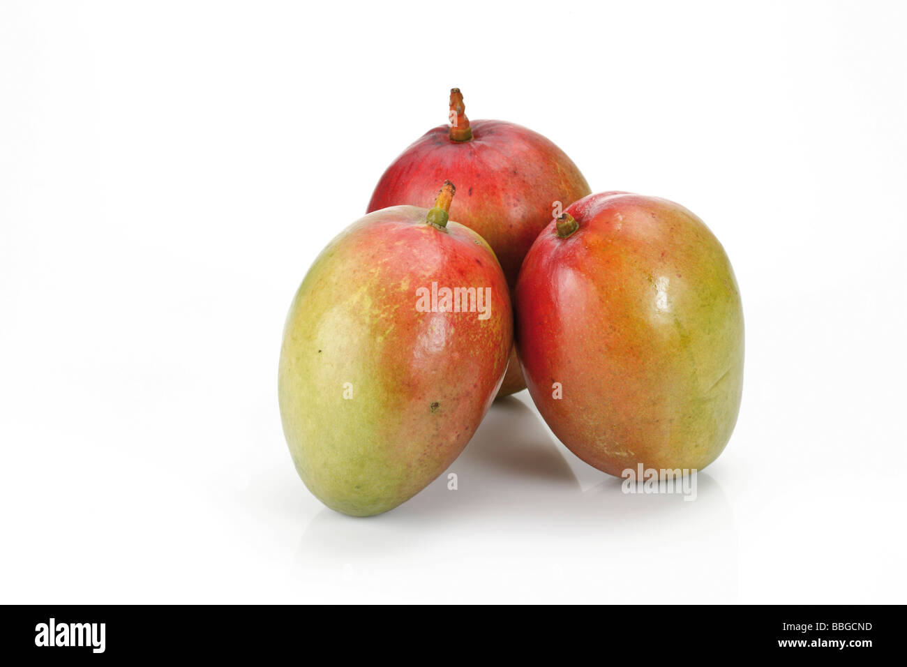 Mango fruit photos Cut Out Stock Images & Pictures - Alamy