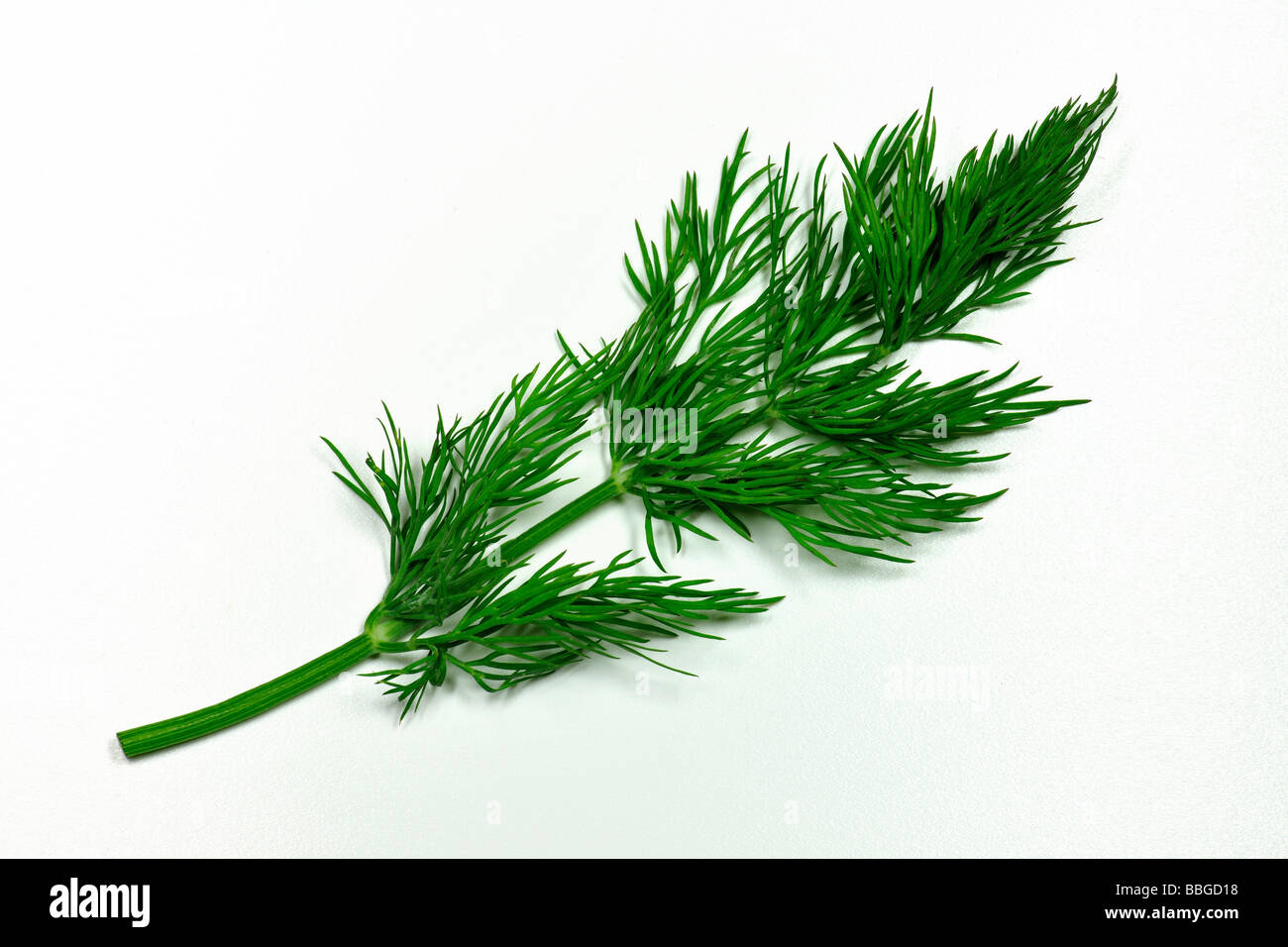 With dill hi-res stock photography and images - Alamy