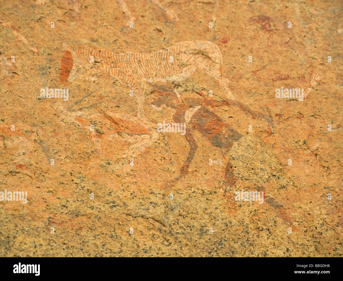 Polychrome rock paintings in Maack's Shelter in the Leopard Gorge ...