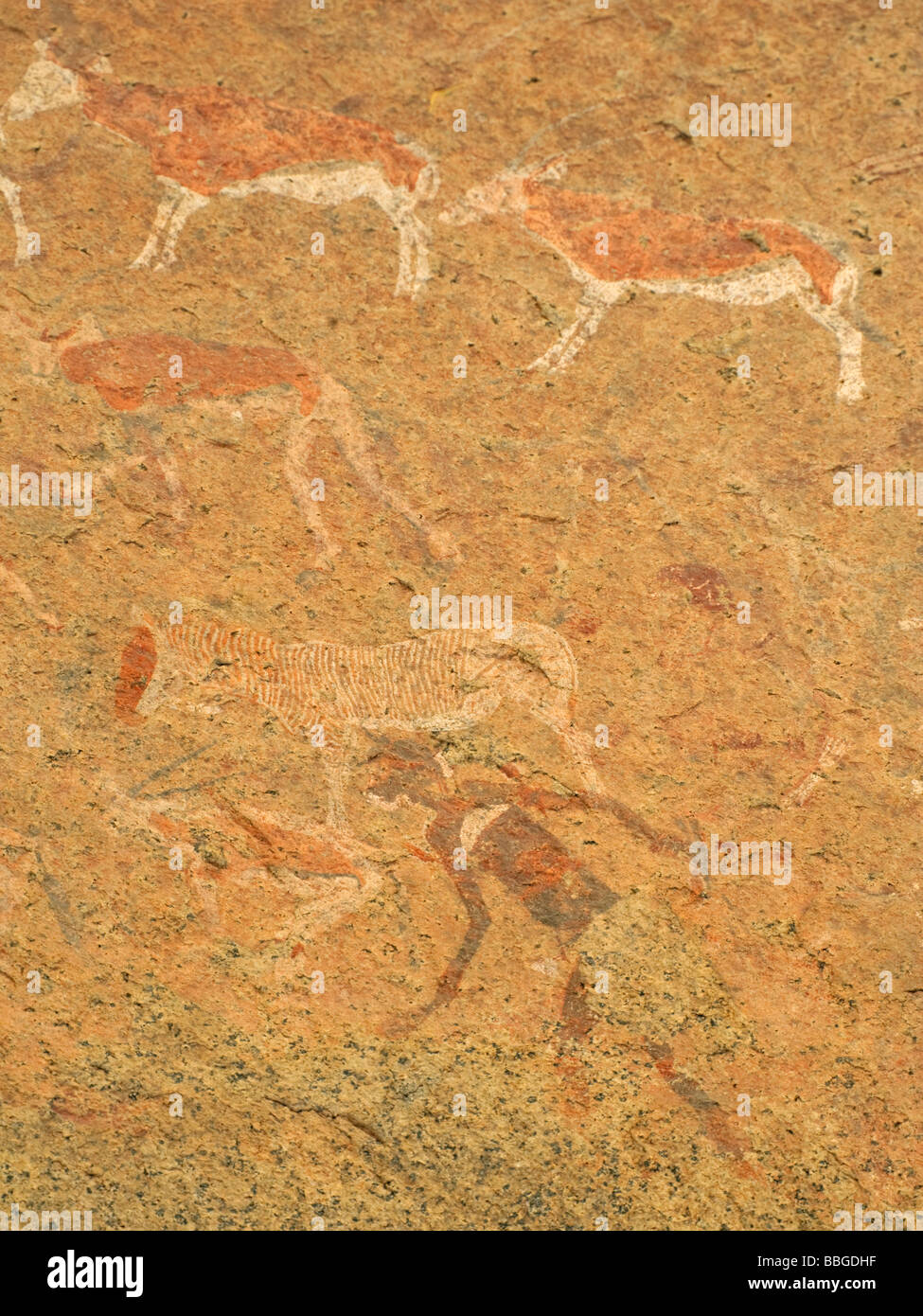 Polychrome rock paintings in Maack's Shelter in the Leopard Gorge ...