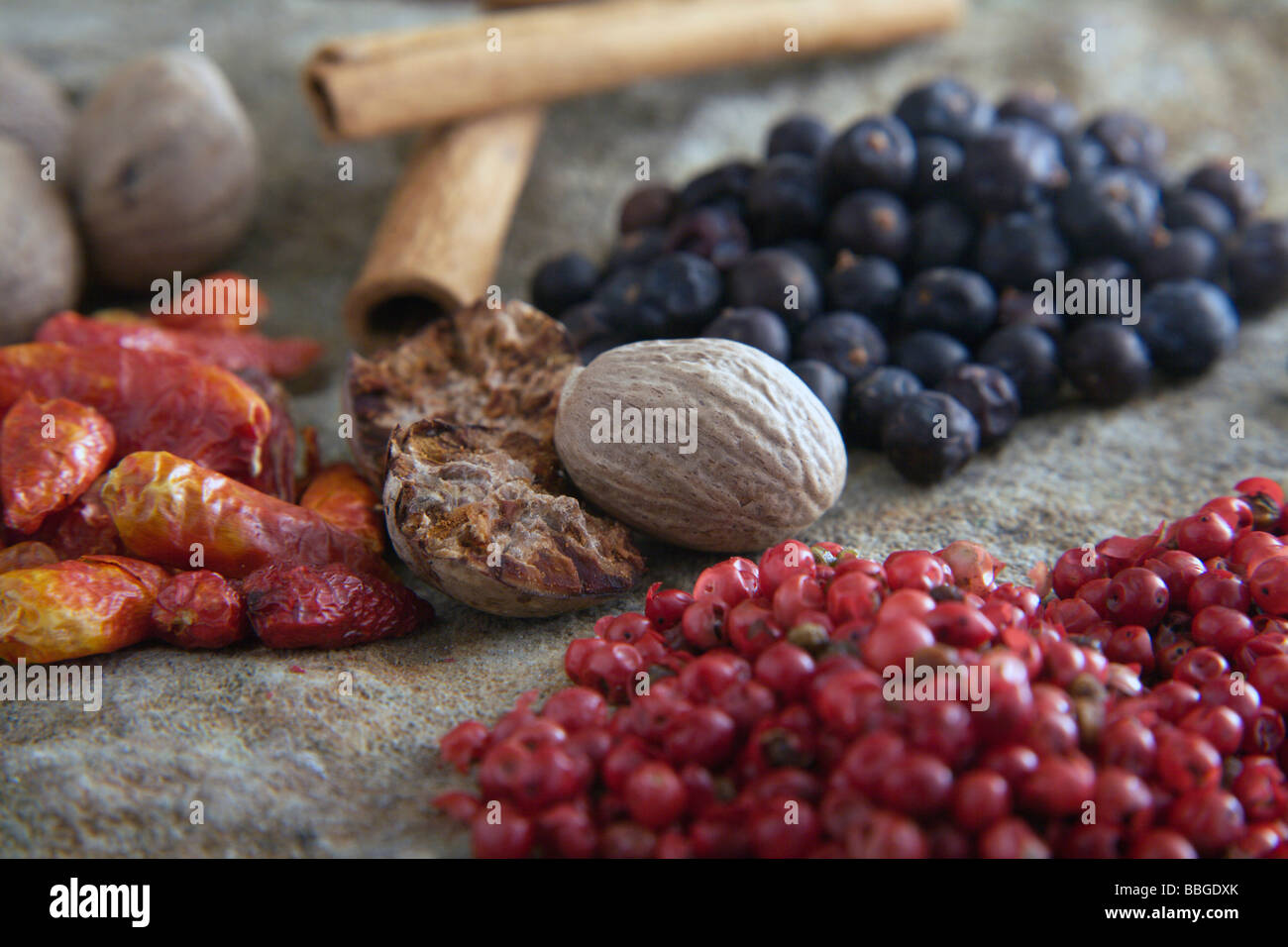 Red juniper hi-res stock photography and images - Alamy