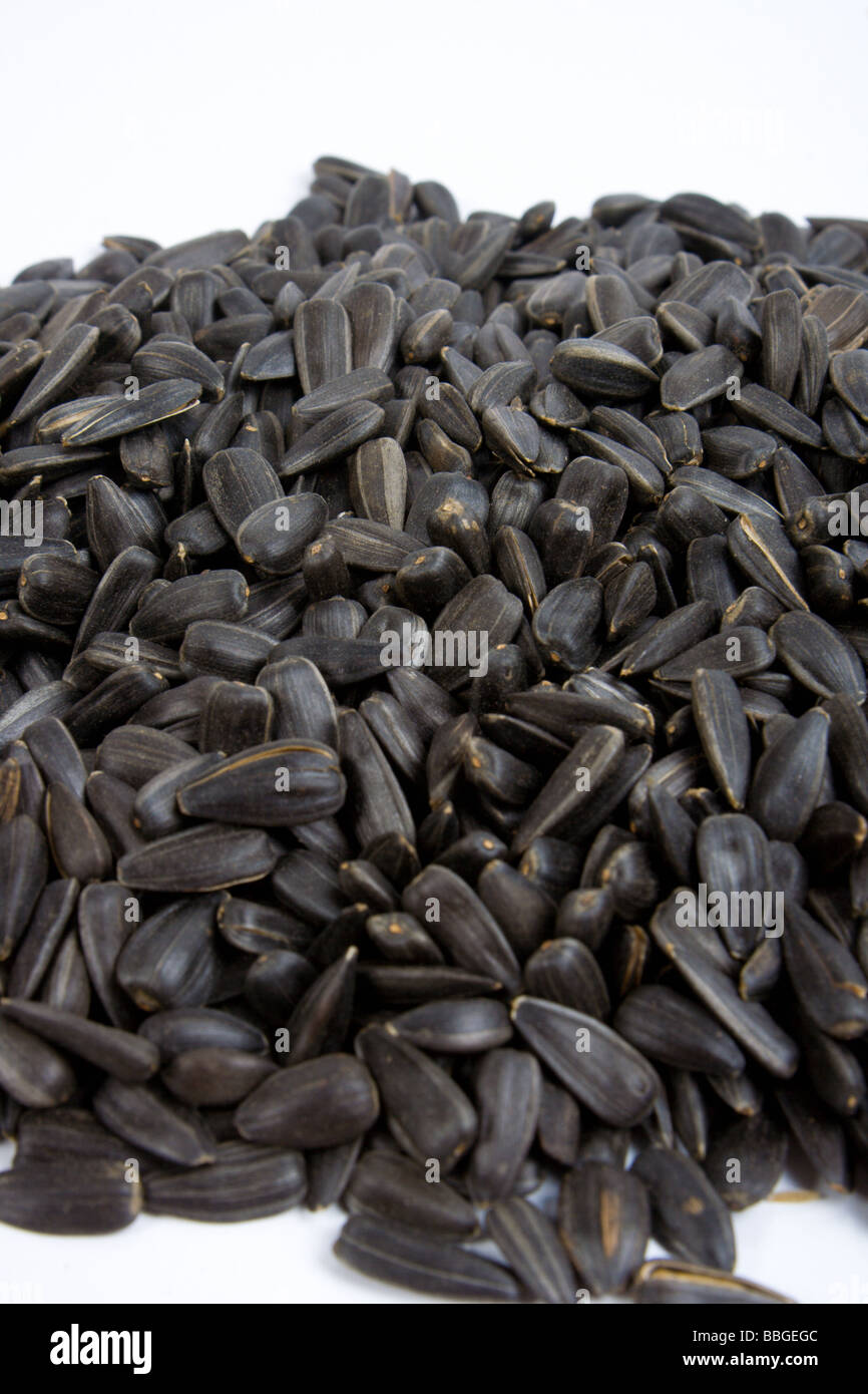 Close up of sunflower seed isolated on white Stock Photo - Alamy