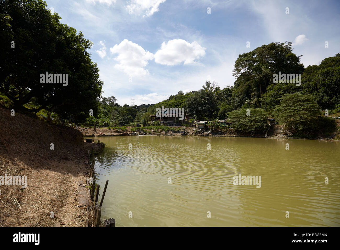 Fishing ponds hi-res stock photography and images - Alamy