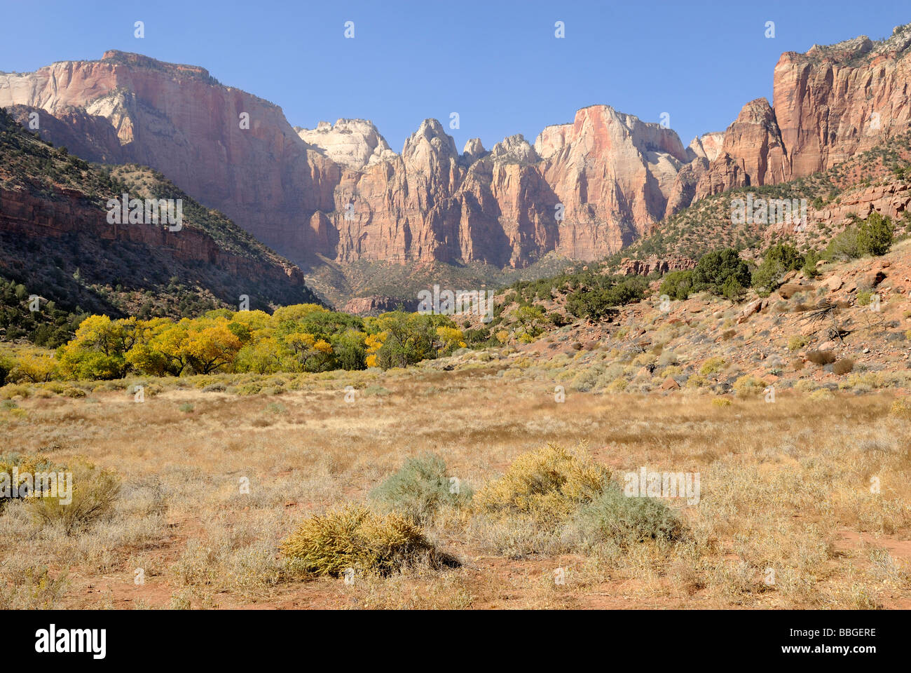 Rock formation, Towers of the Virgin, Zion National Park, Utah, USA ...