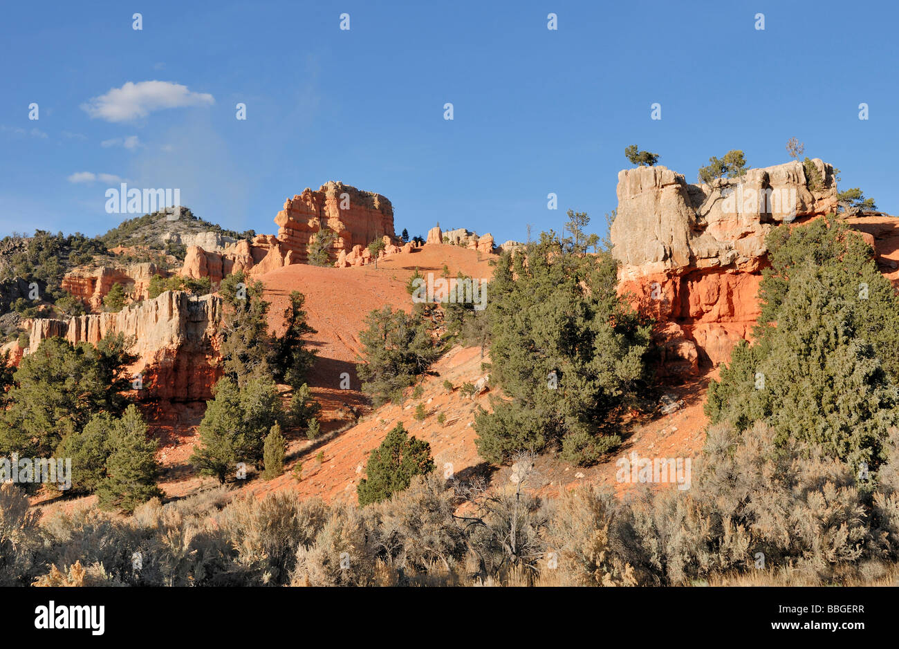 Rock formations forest hi-res stock photography and images - Alamy