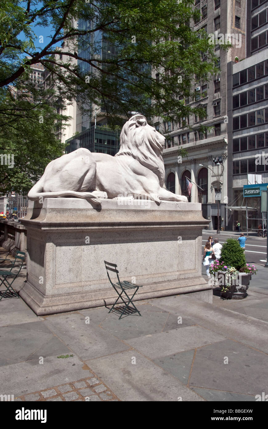 New york public library and lions hi-res stock photography and images ...