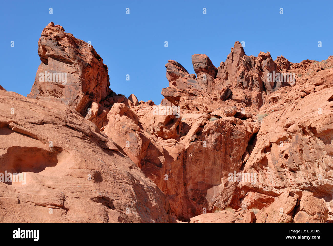 Red sandstone formations in the Valley of Fire State Park, northeastern ...